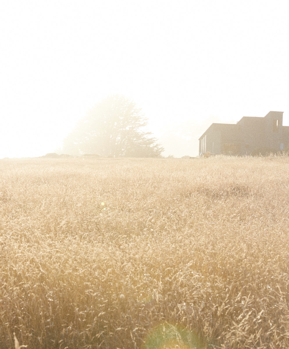 Crescent Knit Tank | Women's Tanks | Outerknown